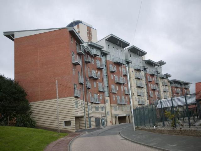 2 bedroom apartment to rent