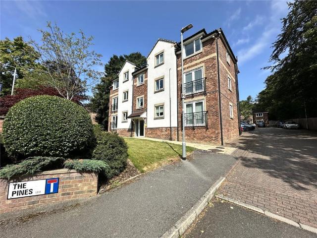 2 bedroom apartment to rent