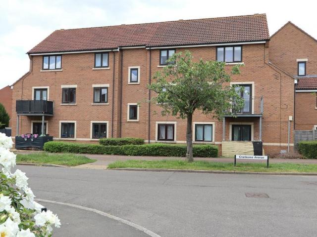 2 bedroom apartment to rent