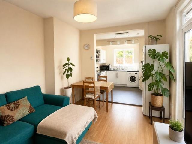 2 bedroom apartment to rent