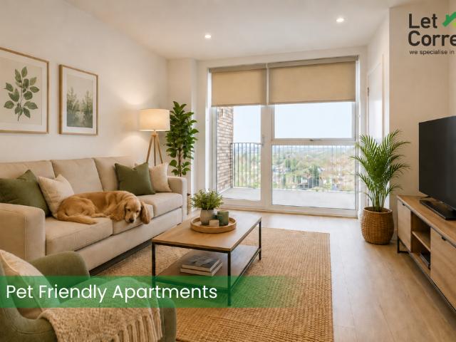 2 bedroom apartment to rent