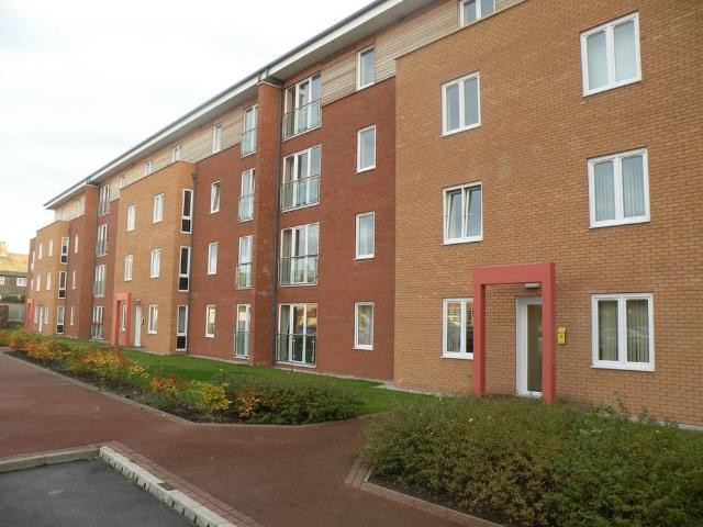 2 bedroom apartment to rent