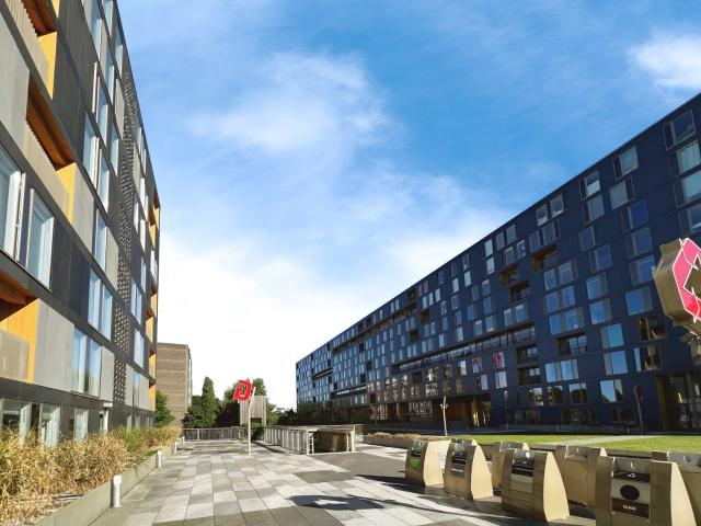 2 bedroom apartment to rent