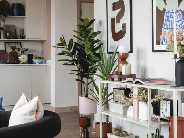 2 bedroom apartment to rent