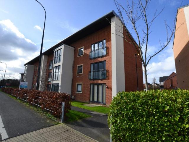 2 bedroom apartment to rent
