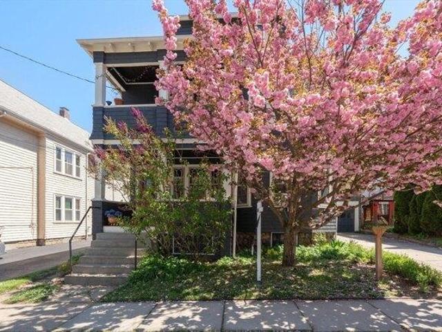 2 bedroom, Belmont MA 02478 102527776
