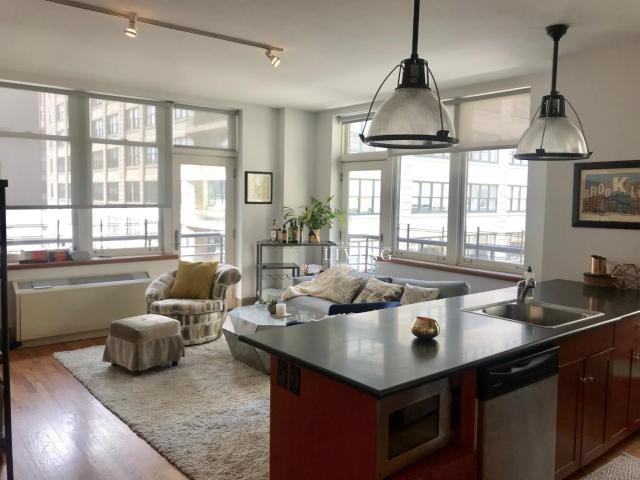 2 bedroom, BROOKLYN NY 11201 42964689