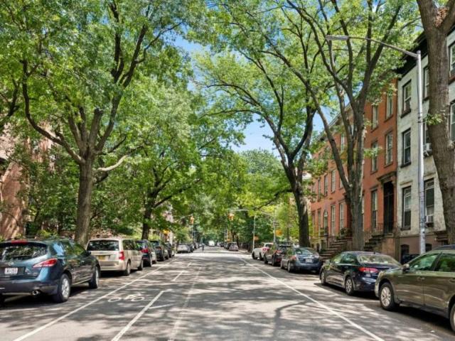 2 bedroom, Brooklyn NY 11238 104892909