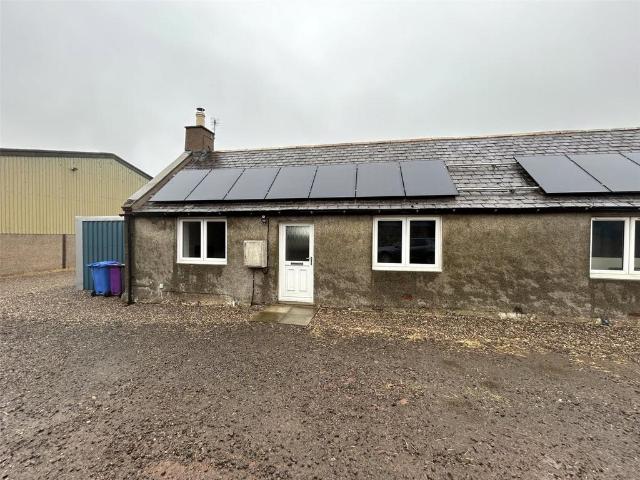 2 bedroom bungalow to rent