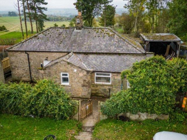 2 bedroom bungalow to rent