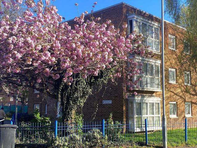 2 bedroom ground flat for sale