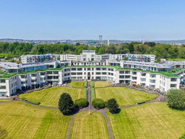 2 bedroom ground flat to rent