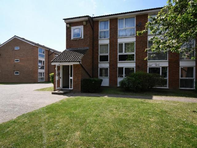 2 bedroom ground flat to rent
