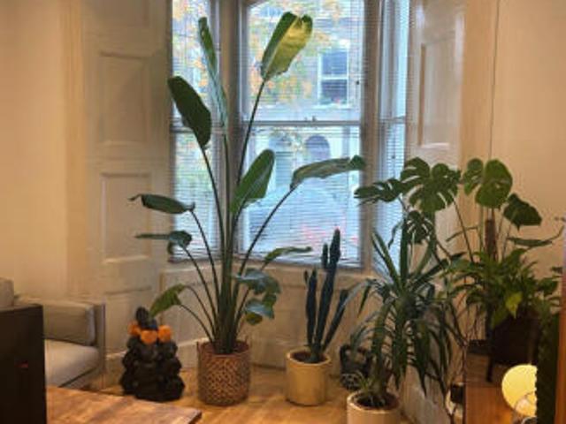 2 bedroom ground floor flat for rent in Crossley Street, Islington, London, N7