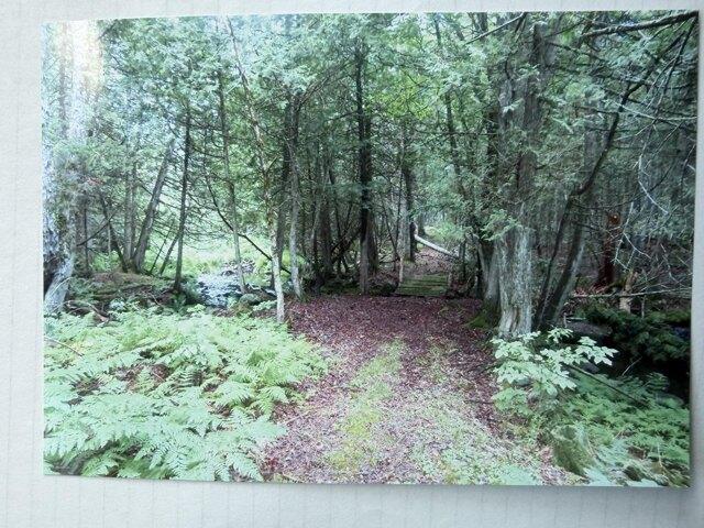 2 bedroom, Dover Foxcroft ME 04426 105203681