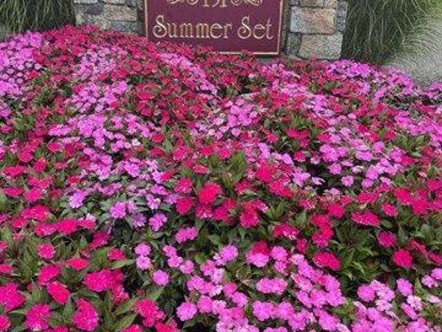 2 bedroom, Danbury CT 06810 102254416