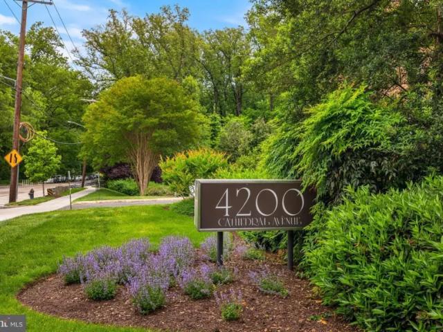 2 bedroom, DC DC 102468912