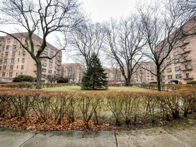 2 bedroom, FLUSHING NY 11354 99819614