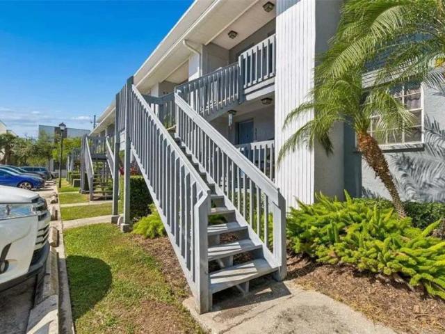 2 bedroom, FL FL 33611 102587777