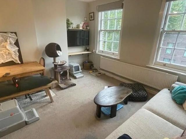 2 bedroom flat to let