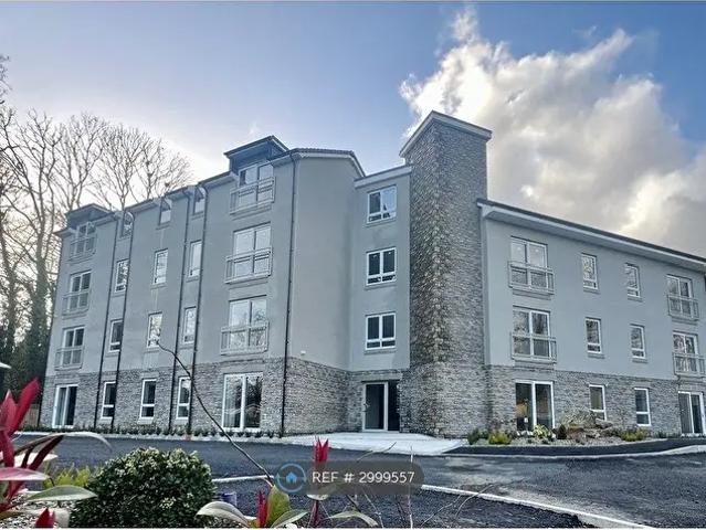 2 Bedroom Flat To Rent In Bronwydd Road, Carmarthen, SA31