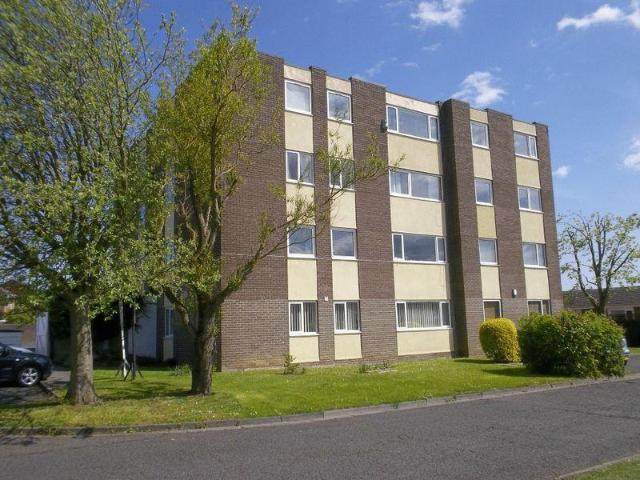 2 bedroom flat to rent