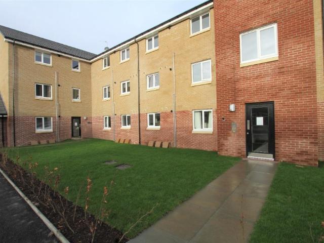 2 bedroom flat to rent
