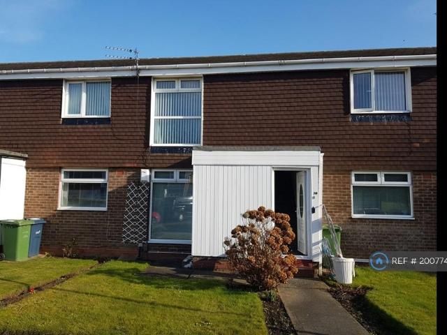 2 bedroom flat to rent
