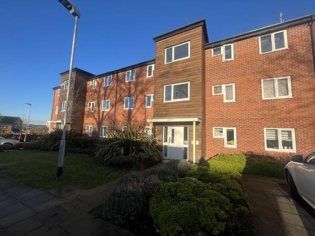 2 bedroom flat to rent