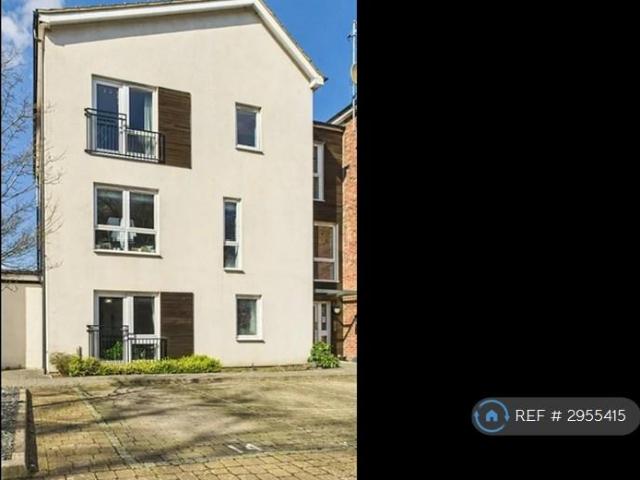 2 bedroom flat to rent