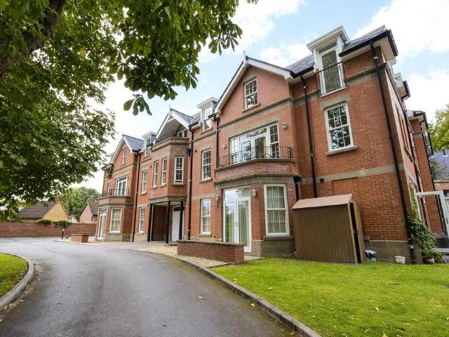 2 bedroom flat to rent