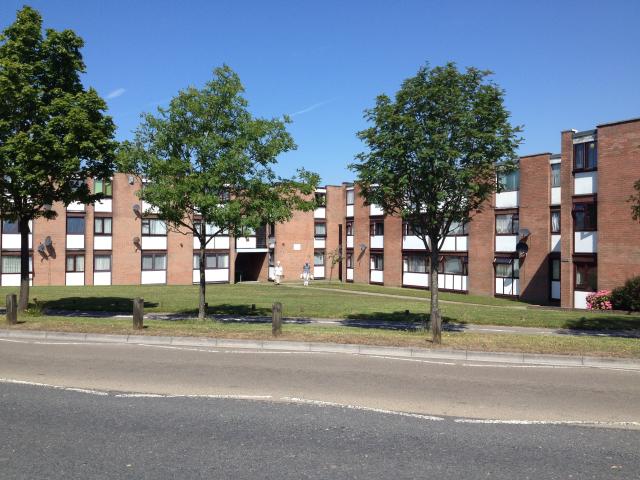 2 bedroom flat to rent
