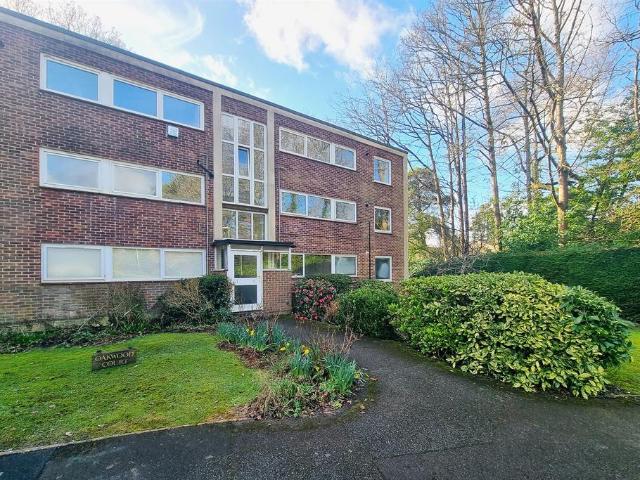 2 bedroom flat to rent