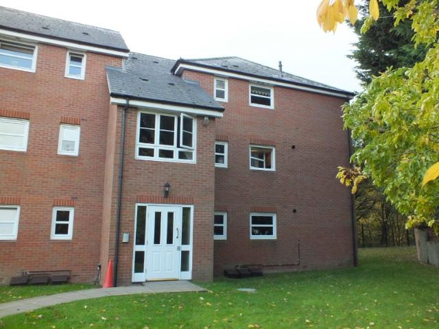2 bedroom flat to rent