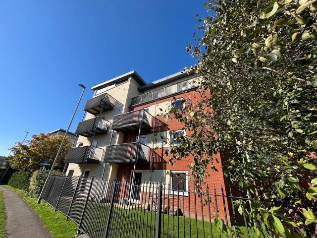 2 bedroom flat to rent