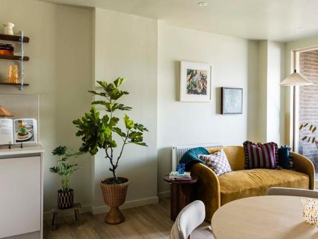 2 bedroom flat to rent