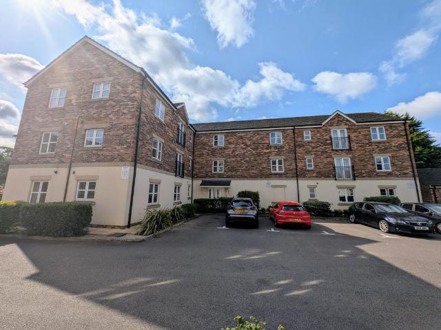 2 bedroom flat to rent