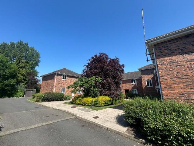 2 bedroom flat to rent