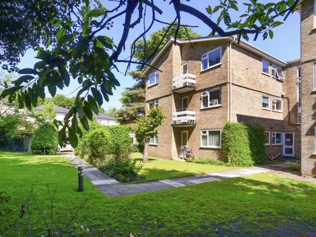 2 bedroom flat to rent