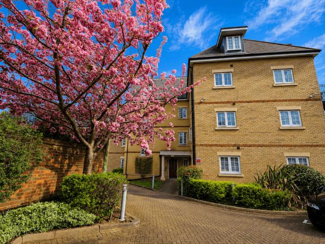 2 bedroom flat to rent