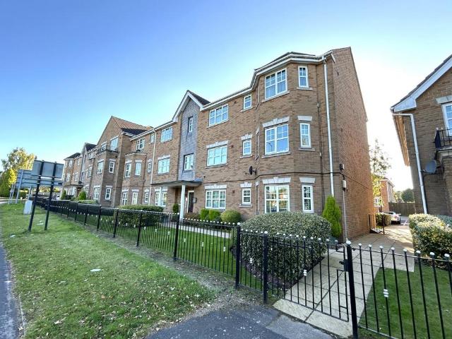 2 bedroom flat to rent