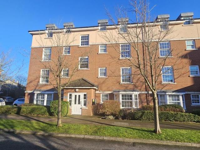 2 bedroom flat to rent