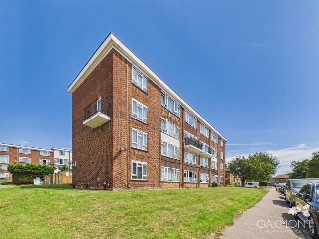 2 bedroom flat to rent