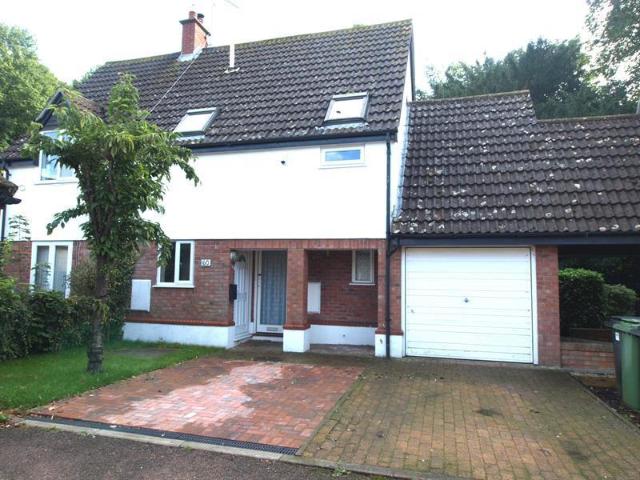 2 bedroom flat to rent