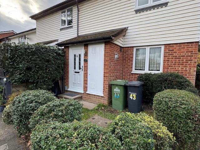 2 bedroom flat to rent