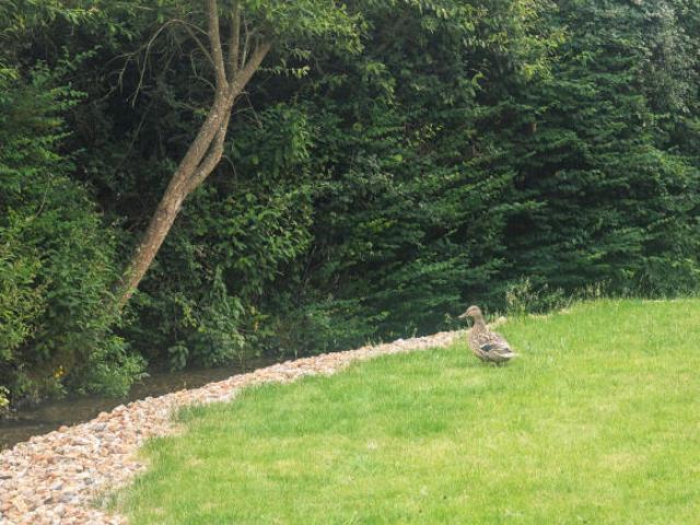 2 bedroom flat for sale in Lyde Court, London Road, Old Basing, Hampshire, RG24