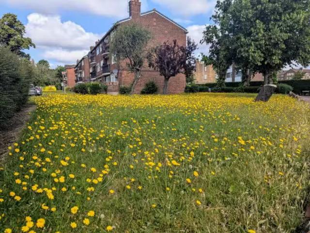 2 bedroom flat for rent in Fairfield Court, Fairfield Road, Wo.