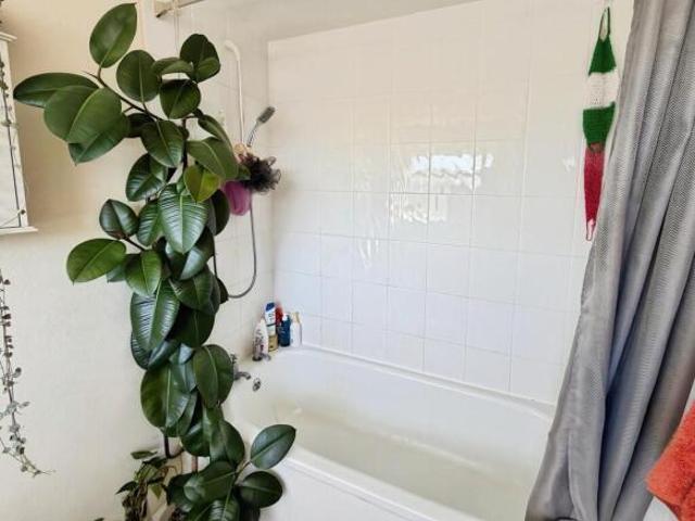 2 bedroom flat for rent in St Pauls Road, Peterborough, PE1