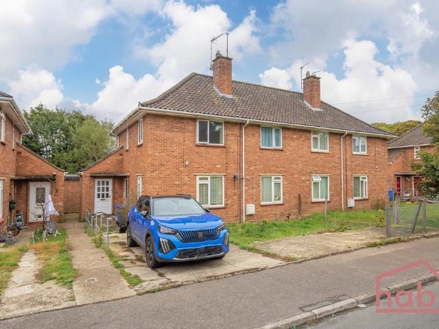 2 bedroom flat share to rent
