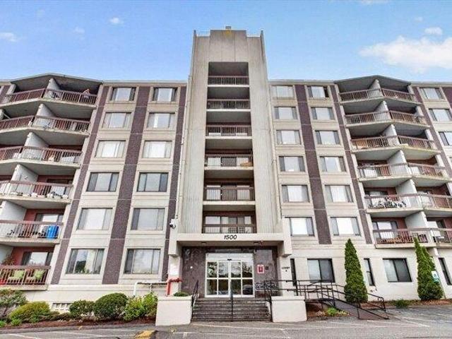 2 bedroom, Framingham MA 01702 104790118